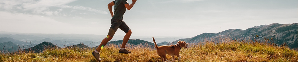 Running Sunglasses - A Sight for Sport Eyes