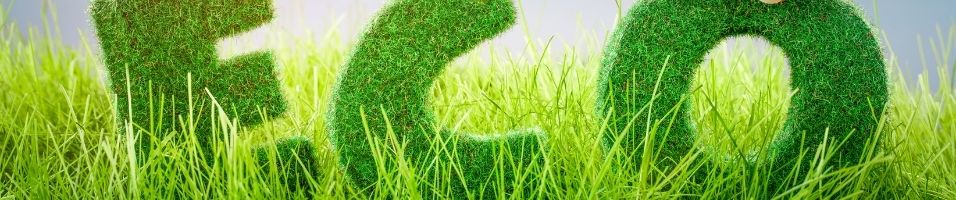 Eco Friendly Eyewear & Sunglasses – A Sight for Sport Eyes